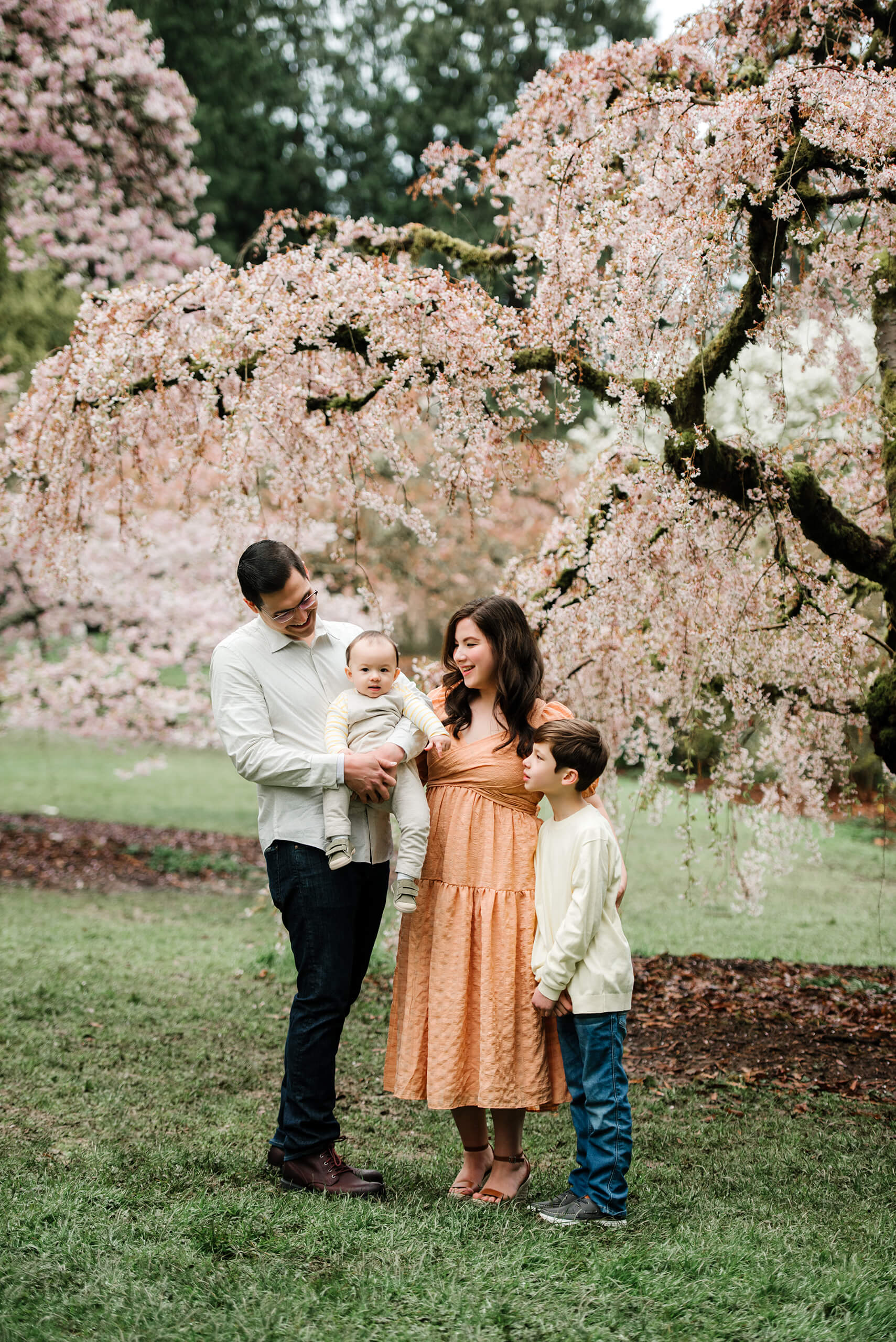 Seasonal Family Portraits - Bellevue, Seattle Family Photographer