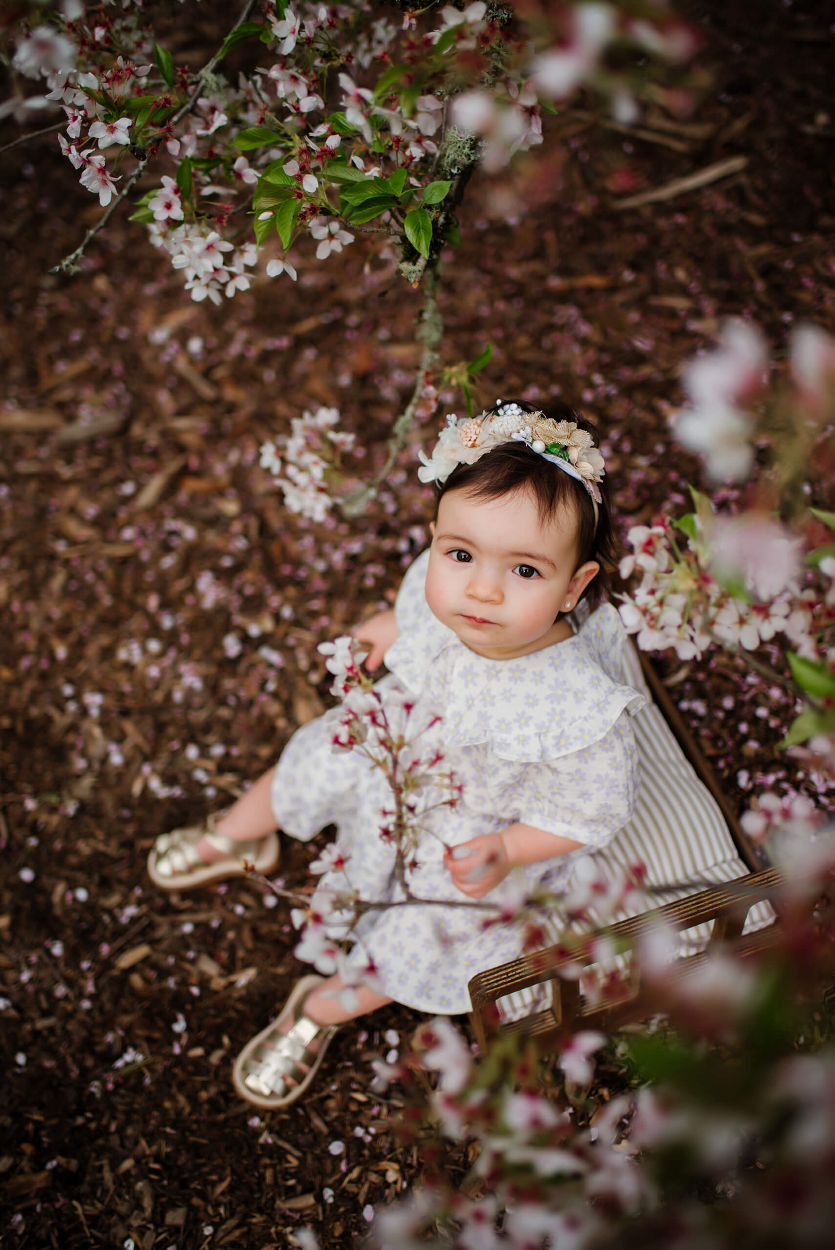 Seasonal Family Portraits - Bellevue, Seattle Family Photographer