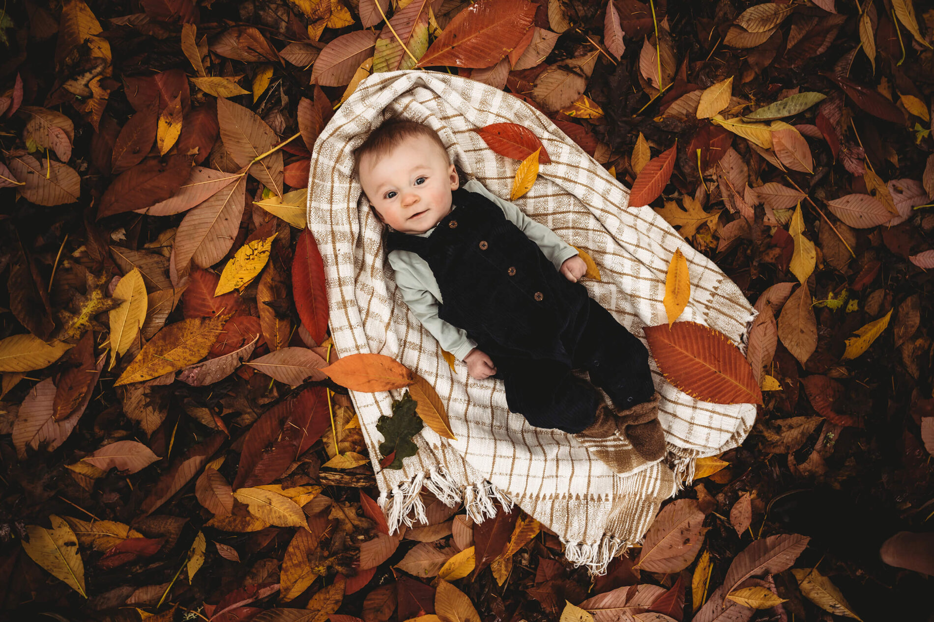 Stunning Seattle Fall Foliage Family Photography Sessions