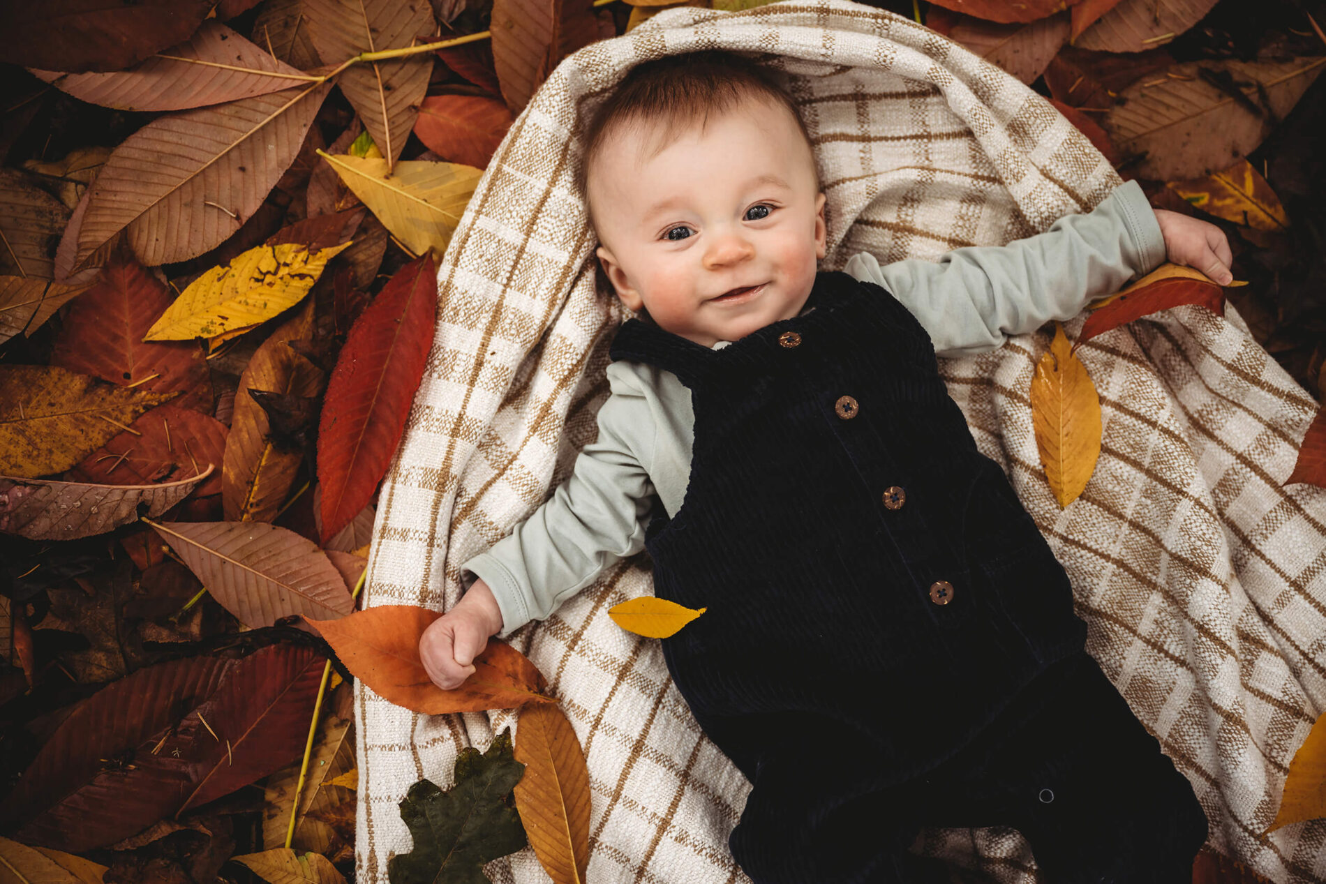 Stunning Seattle Fall Foliage Family Photography Sessions