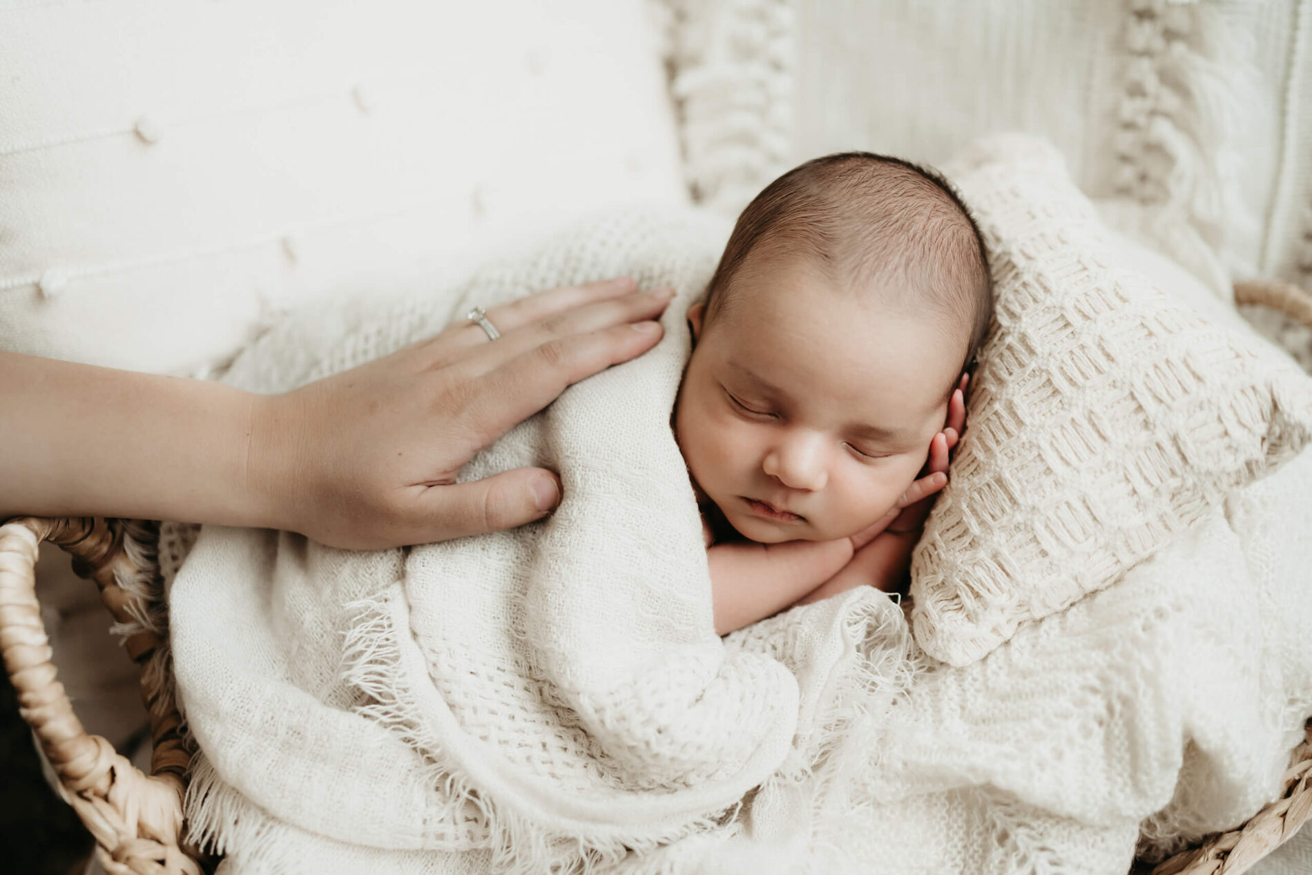 Comparison of My Seattle Newborn Photoshoot Options