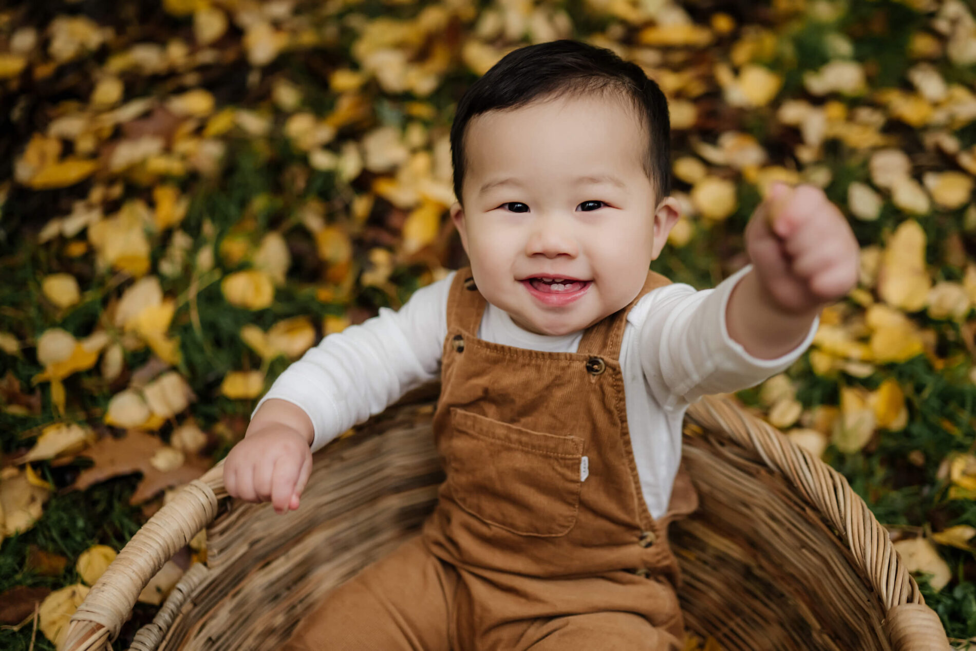 Stunning Seattle Fall Foliage Family Photography Sessions