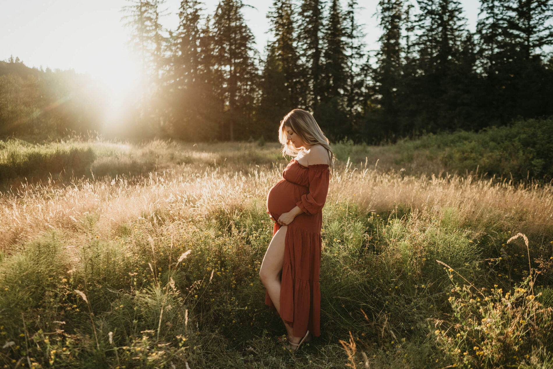 Bellevue Maternity Photography – Sessions, Pricing & FAQ