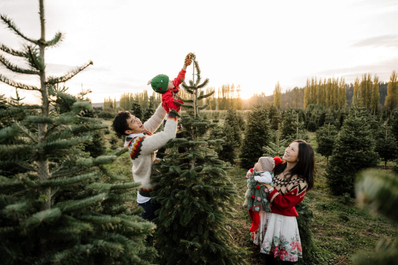 Christmas Tree Farm Family Photos: Outfit Tips & Posing Inspo